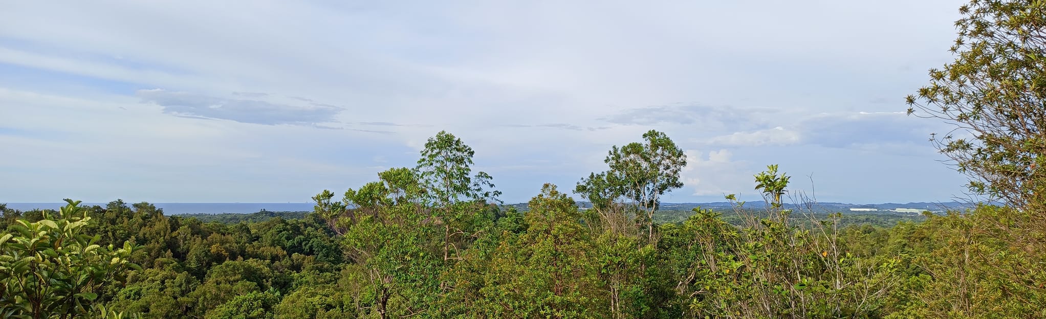 Bukit Shabandar, Brunei and Muara, Brunei - 63 Reviews, Map | AllTrails