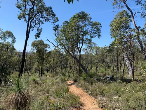 Best Hikes and Trails in Helena National Park | AllTrails