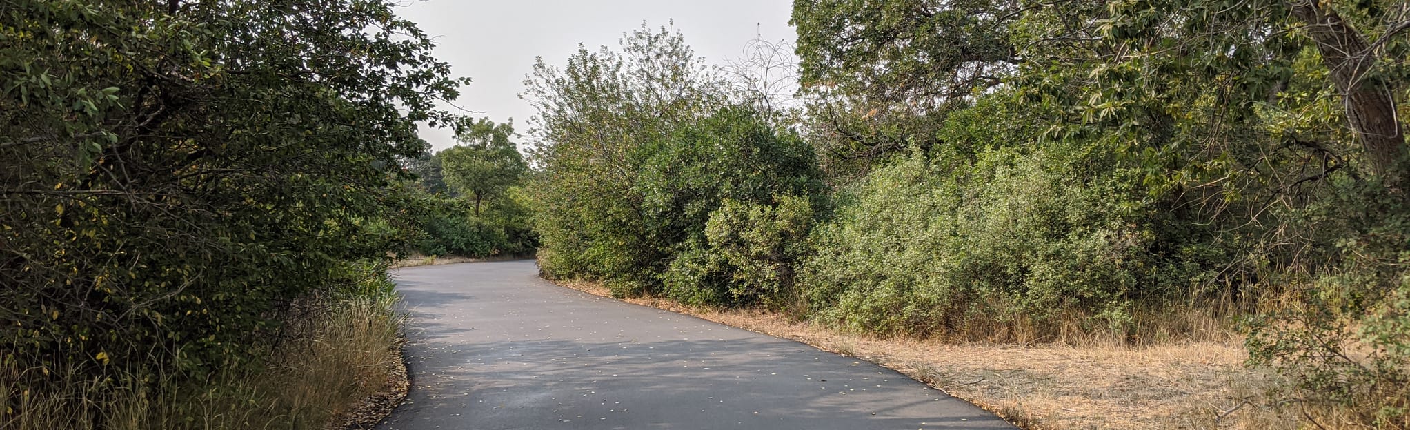 Murdock Trail Bike Route: 146 Reviews, Map - Utah | AllTrails