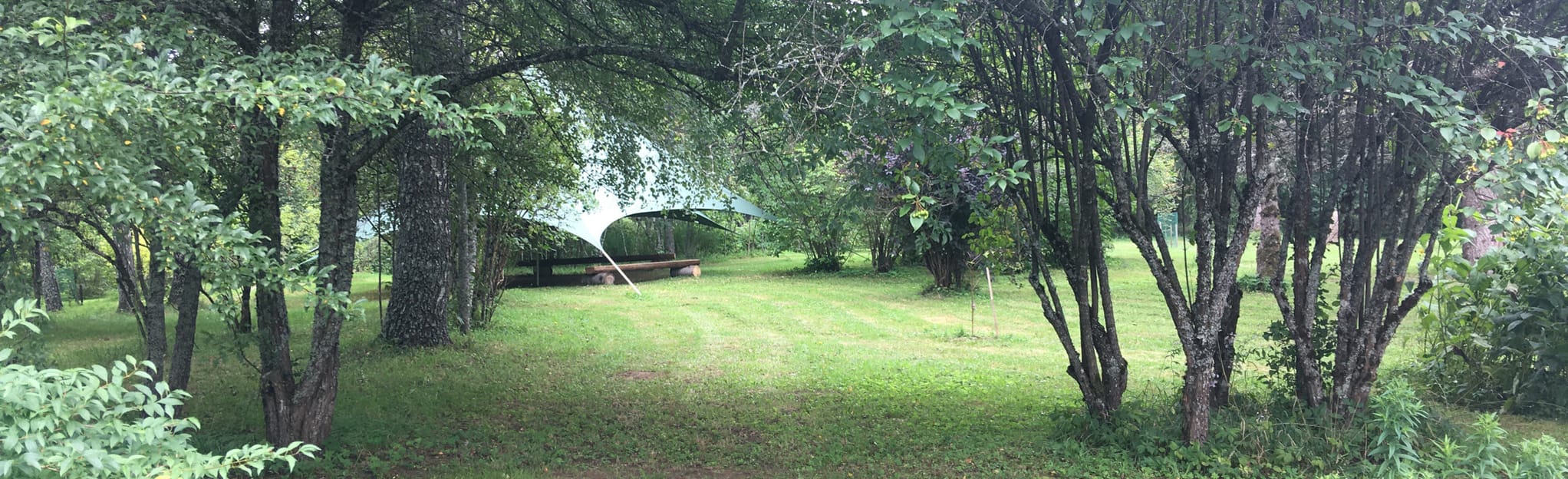 Ledurga Dendropark, Vidzeme, Latvia - 3 Reviews, Map | AllTrails