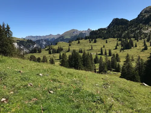 10 Best Mountain Biking Trails in Diemtigtal Nature Park | AllTrails