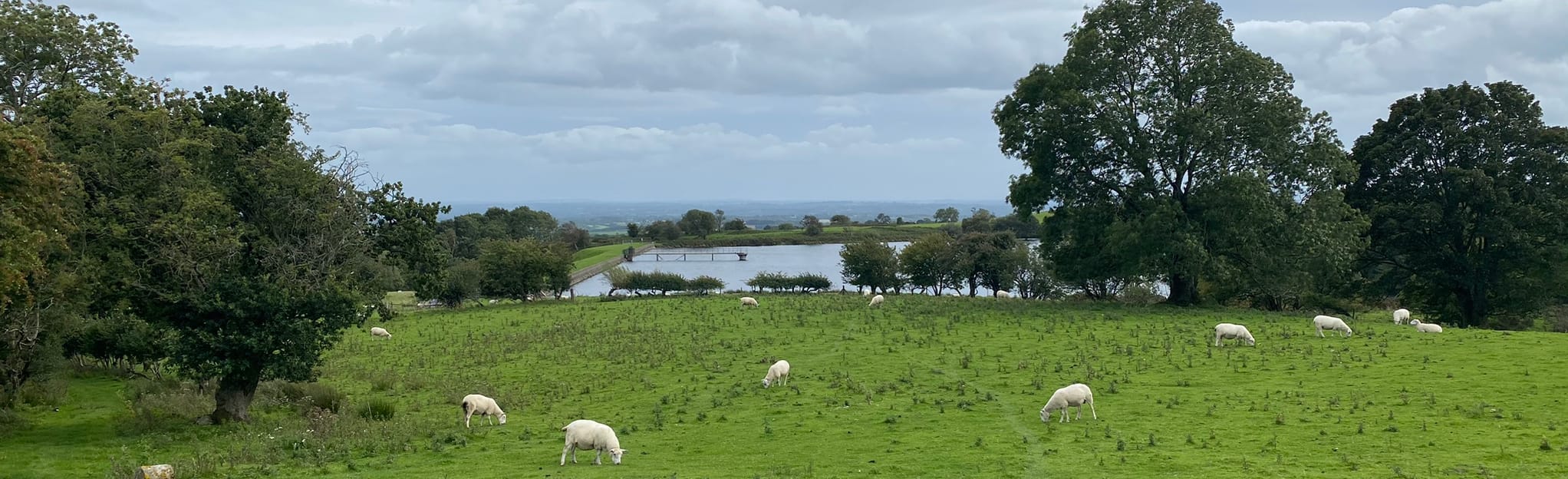 Bronwylfa Hall & Nant Mill: 8 Reviews, Map - Wrexham, Wales | AllTrails