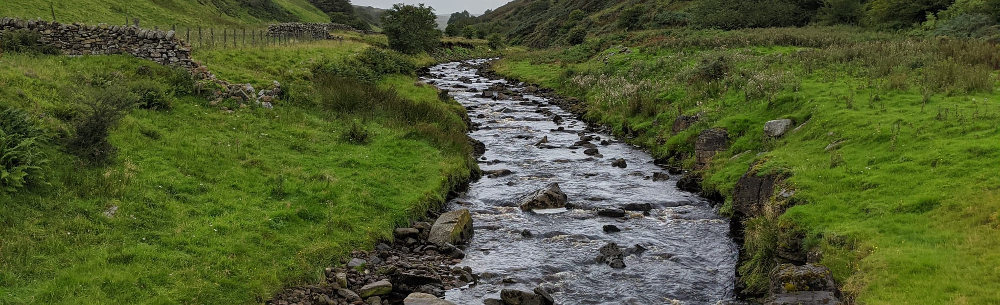 Isaac's Tea Trail: 16 Reviews, Map - Northumberland, England | AllTrails