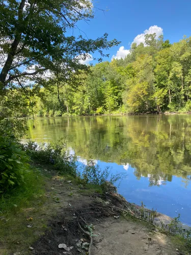 Best Hikes and Trails in Fitzgerald Park | AllTrails