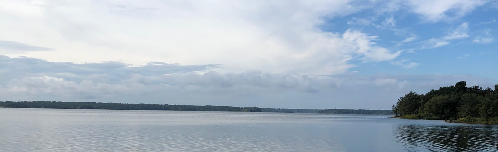 Pat Mayse Equestrian Trails, Texas - 17 Reviews, Map | AllTrails