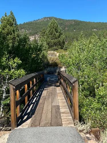 10 Best Hikes and Trails in Galena Creek Regional Park | AllTrails