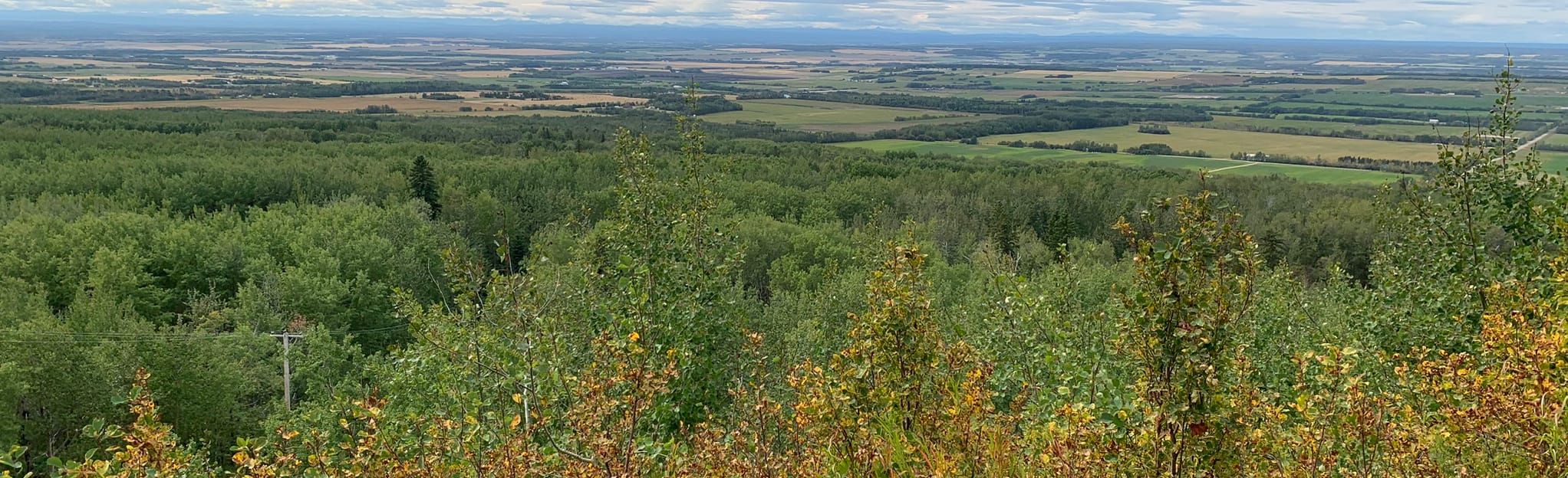 Saskatoon Mountain Trails: 11 Reviews, Map - Alberta, Canada | AllTrails