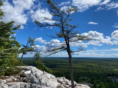 10 Best Trails and Hikes in Killarney | AllTrails