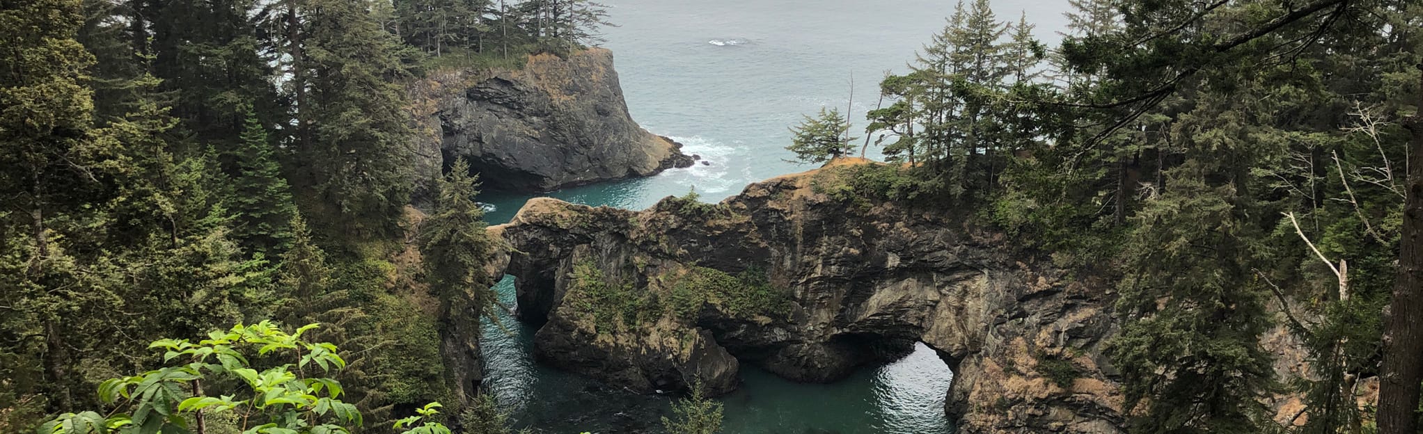 Natural Bridges Viewpoint Trail, Oregon - 545 Reviews, Map | AllTrails
