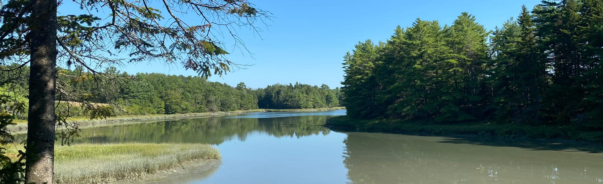 Hamilton Blue and Yellow Trail Loop: 9 Reviews, Map - Maine | AllTrails