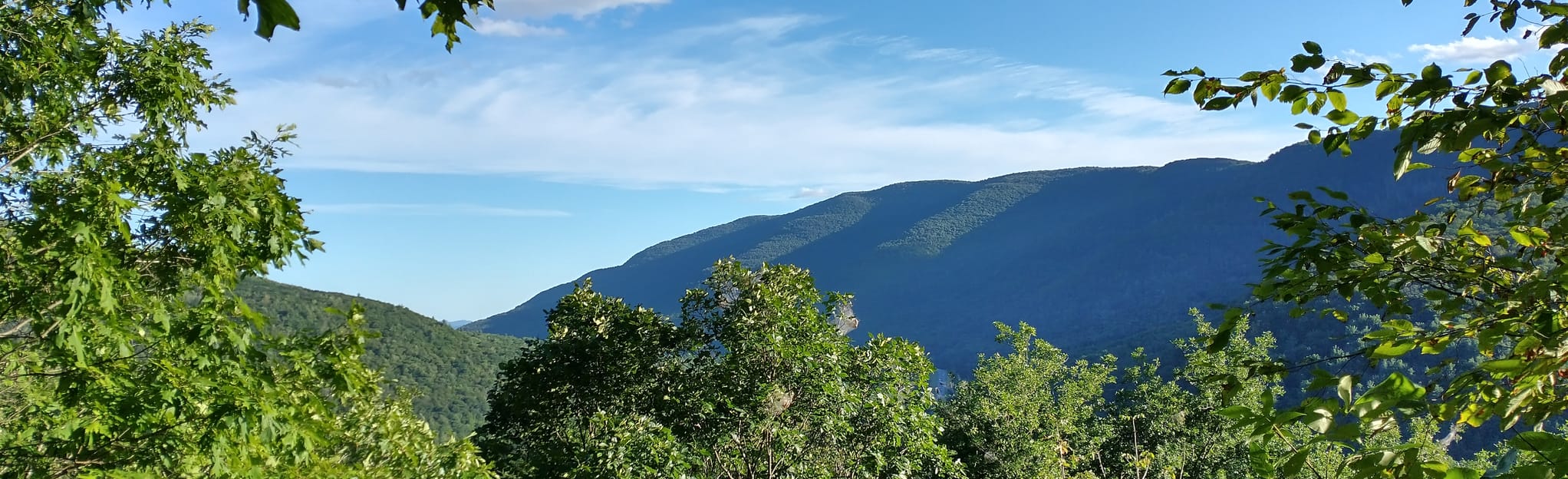 Tanbark Loop, New York - 556 Reviews, Map | AllTrails