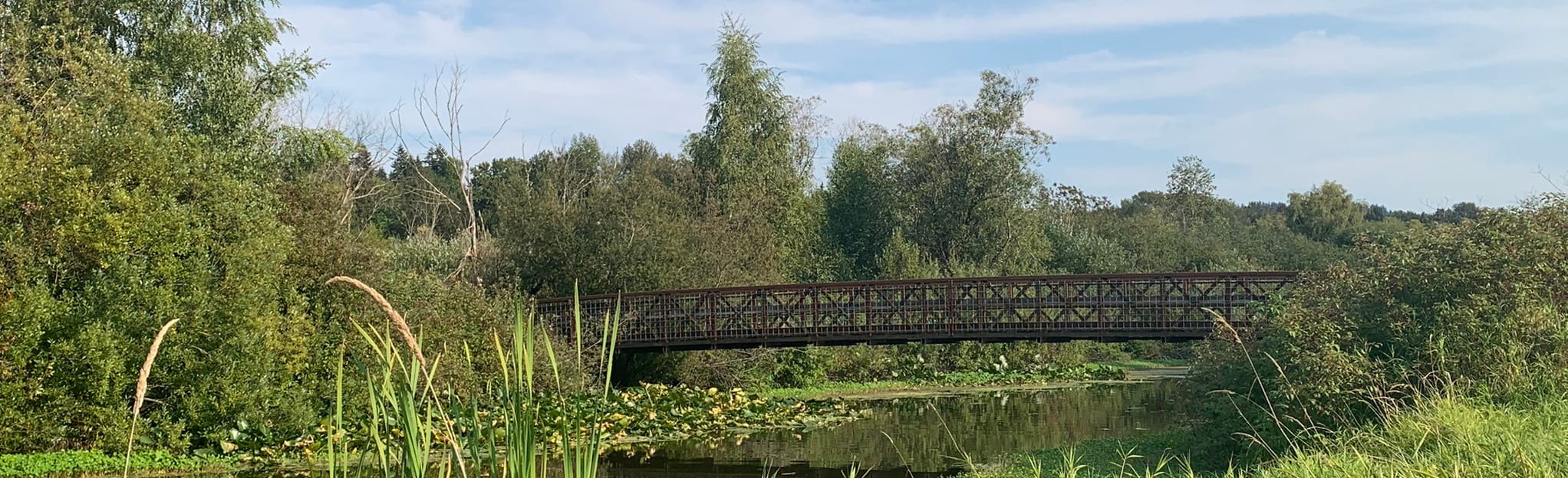 Mercer Slough Nature Park, Washington - 836 Reviews, Map | AllTrails