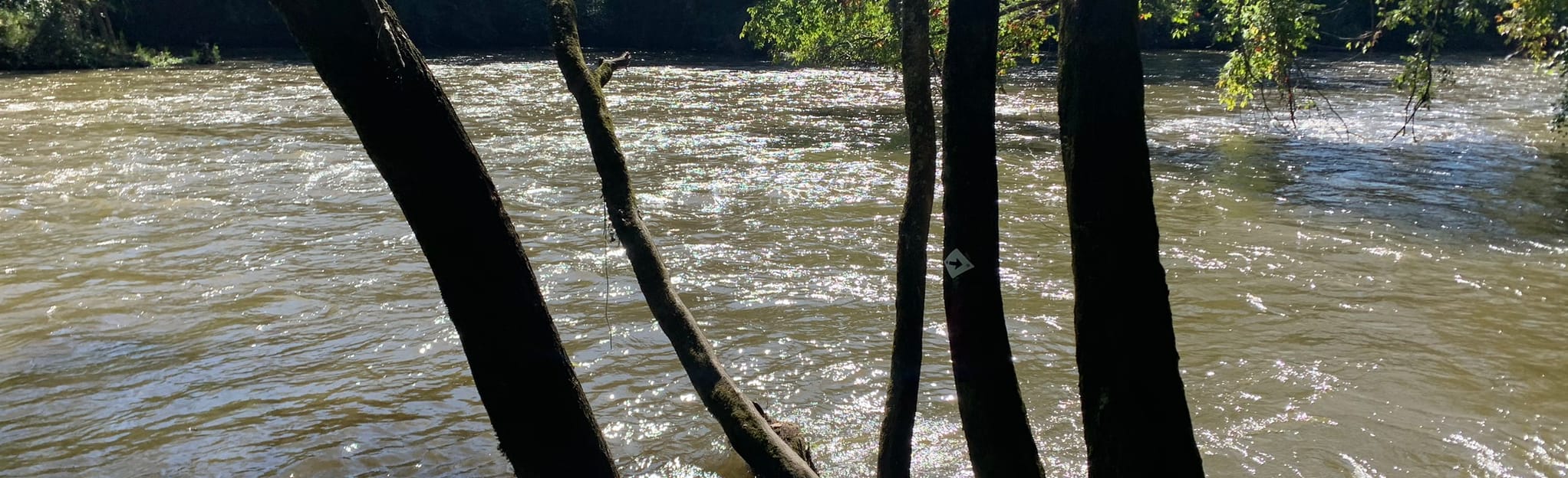 Catawba River: Landsford Canal State Park to Highway 9 | Map, Guide ...