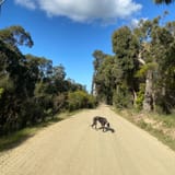 Pakenham Loop via Cardinia Aqueduct Trail, Victoria, Australia - 89 ...