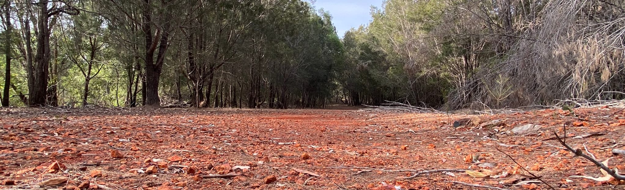 Quarry Road, Bishops Break and Hub Trail: 68 Reviews, Map - Queensland ...