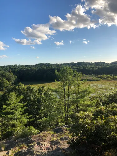 2023 Best Easy Trails in Wrentham | AllTrails