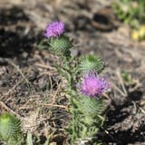 Gold Digger Trail to Two Spot Trail Loop, Arizona - 195 Reviews, Map ...