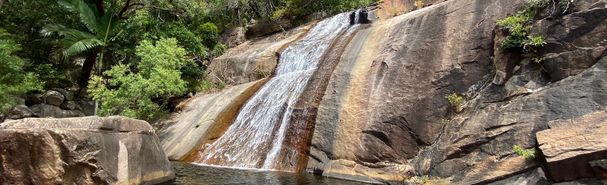 Alligator Creek Falls Track , Queensland, Australia - 134 Reviews, Map ...