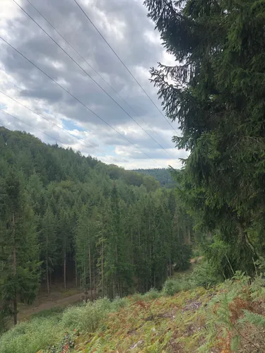 Best Hikes and Trails in Kindsbach | AllTrails