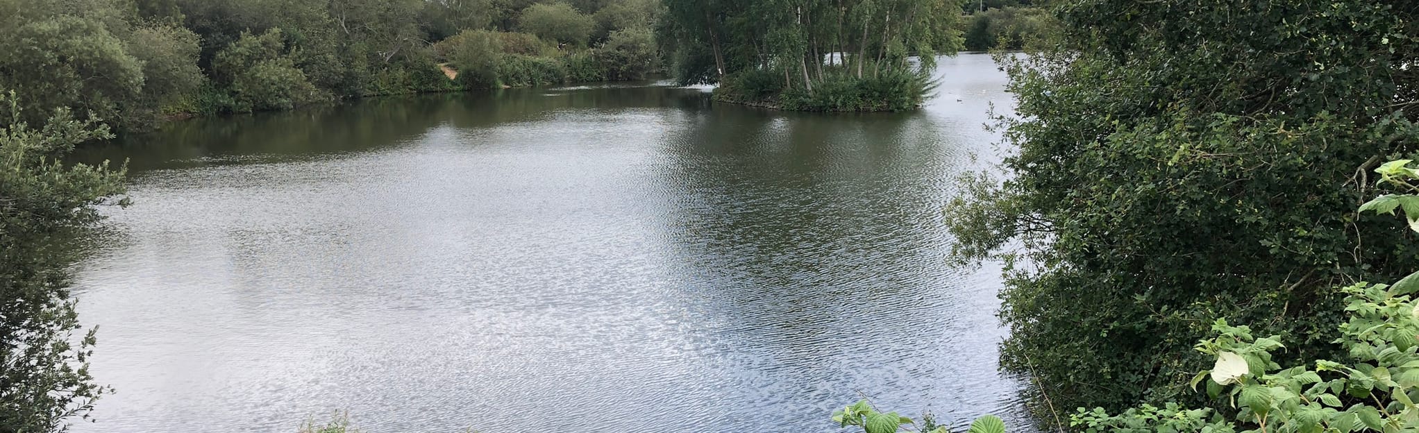 Broome Pits Lake Walk, Suffolk, England - 10 Reviews, Map | AllTrails