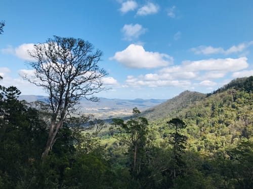 Best 10 Hikes and Trails in Main Range National Park | AllTrails