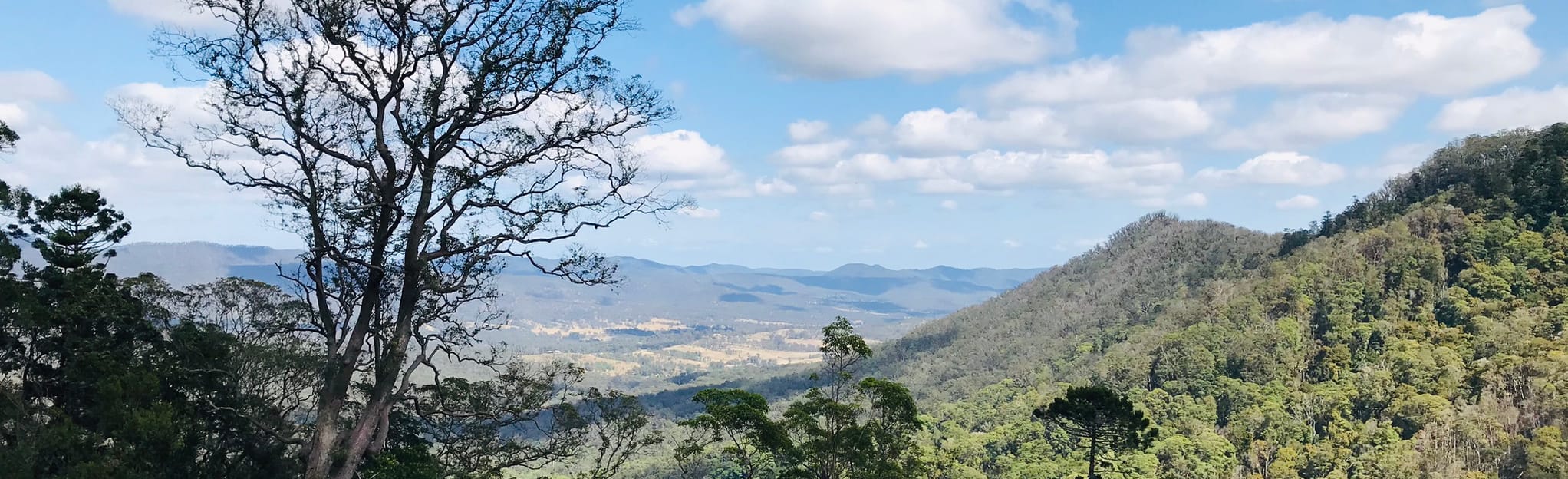 Bare Rock and Mount Cordeaux Track - Queensland, Australia | AllTrails