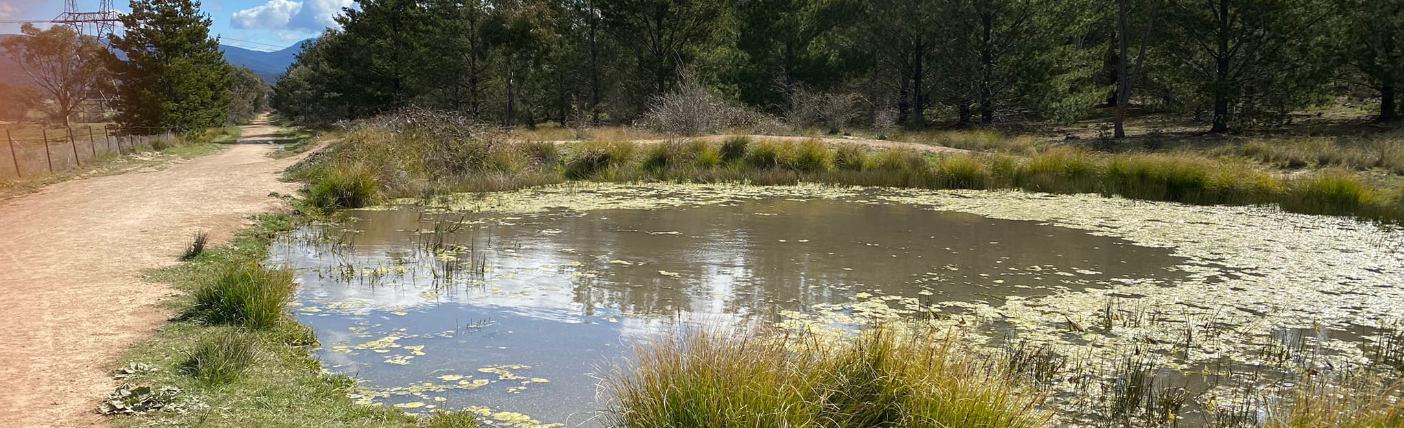 Narrabundah Hill Short Loop, Australian Capital Territory, Australia ...