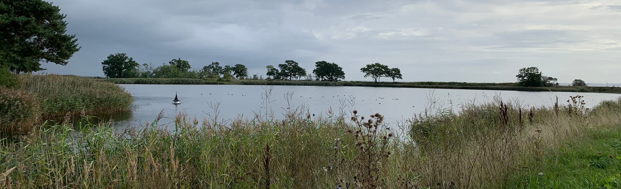 Lave Skov - Sletten Havn | Map, Guide - Capital Region of Denmark ...