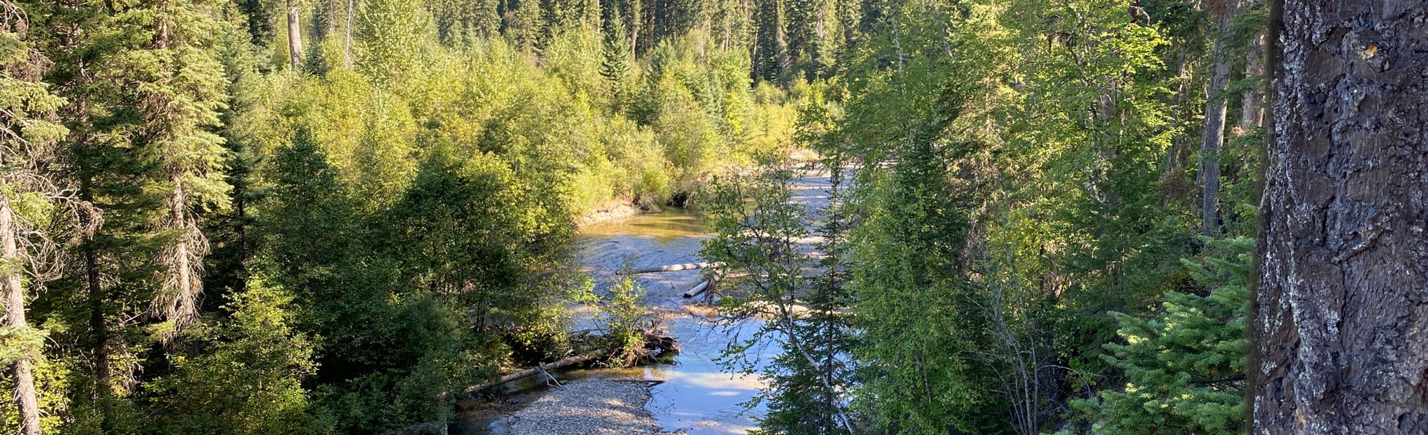 Smith Lake via Swift Creek Loop, Montana - 499 Reviews, Map | AllTrails