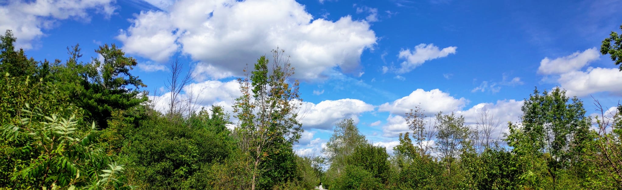 Caledon Trailway: 242 Reviews, Map - Ontario, Canada | AllTrails