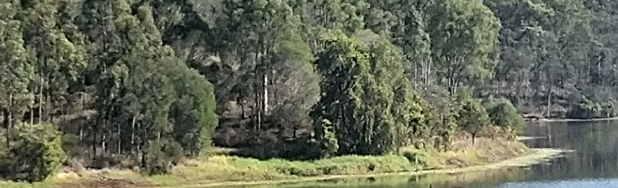 Lake Manchester Paddle, Queensland, Australia - 4 Reviews, Map | AllTrails