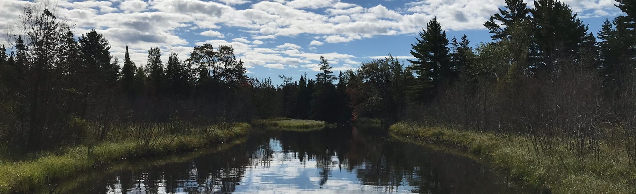 Naomikong Point Blue Trail, Michigan - 85 Reviews, Map | AllTrails