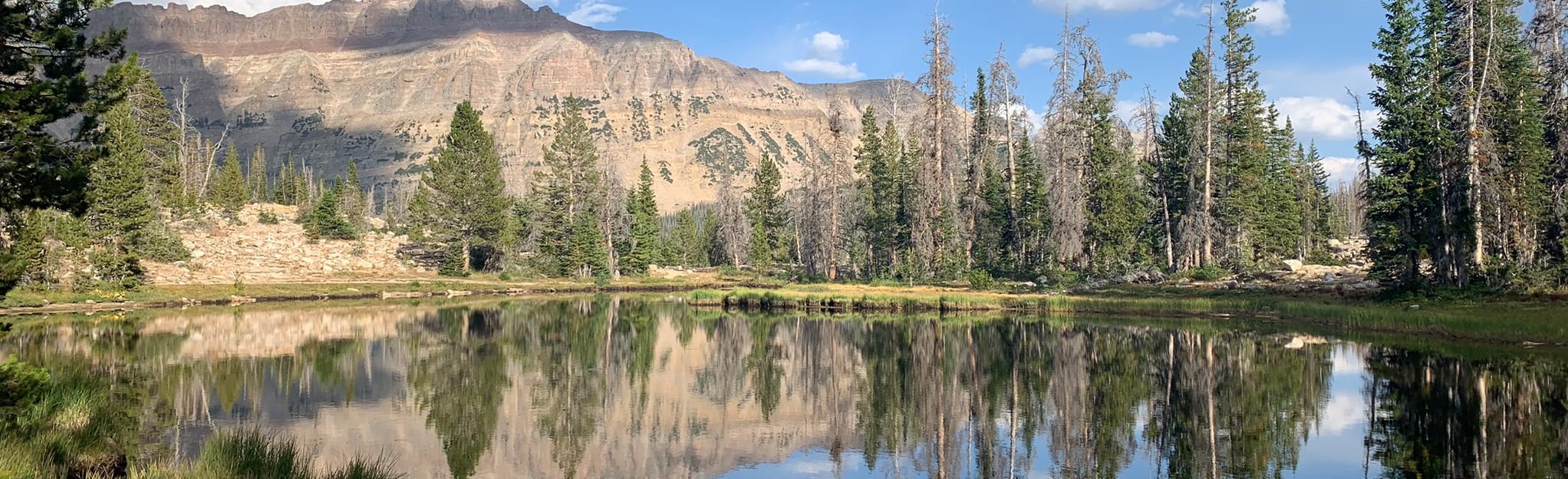 Ruth Lake, Jewel Lake, Cutthroat Lake, and Teal Lake Route, Utah - 89 ...