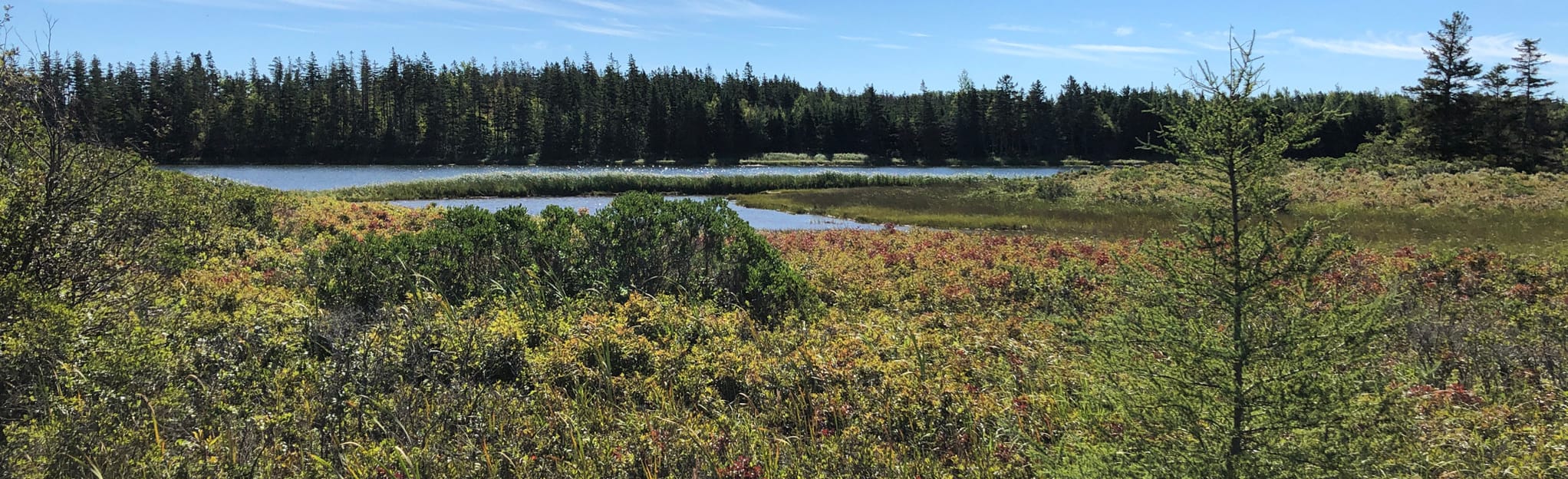 Confederation Trail: Morell to St. Peters: 52 Reviews, Map - Prince ...