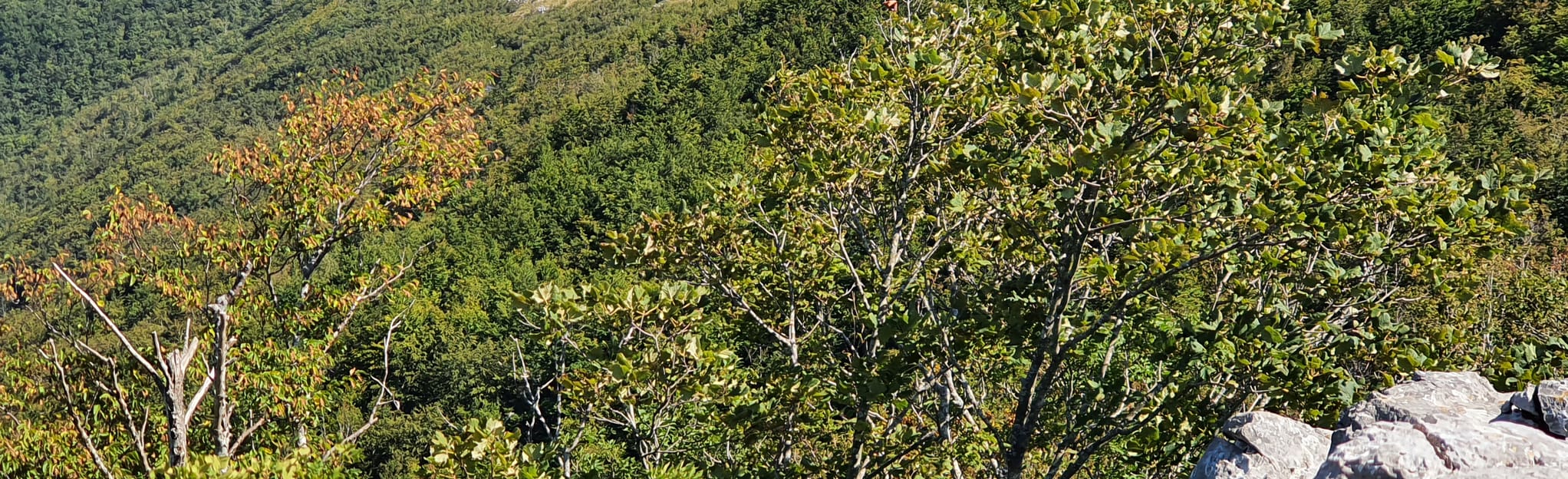 Skorpovac - Bačić Kosa - Visibaba - Ravni Dabar, Lika-Senj, Croatia ...