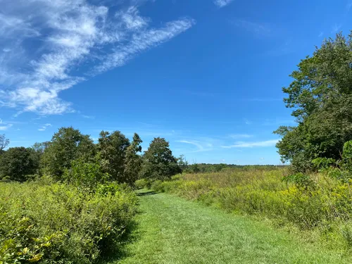 Best Hikes and Trails in Rachel Carson Conservation Park | AllTrails
