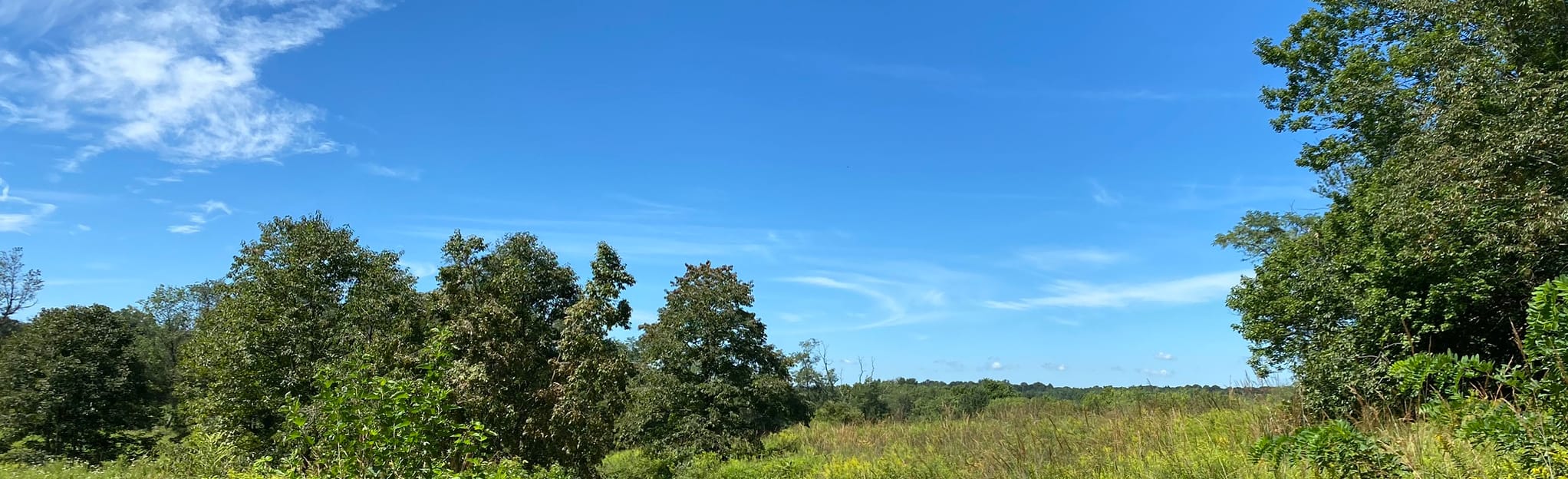 Rachel Carson Greenway to Fox Meadow Loop - Maryland | AllTrails
