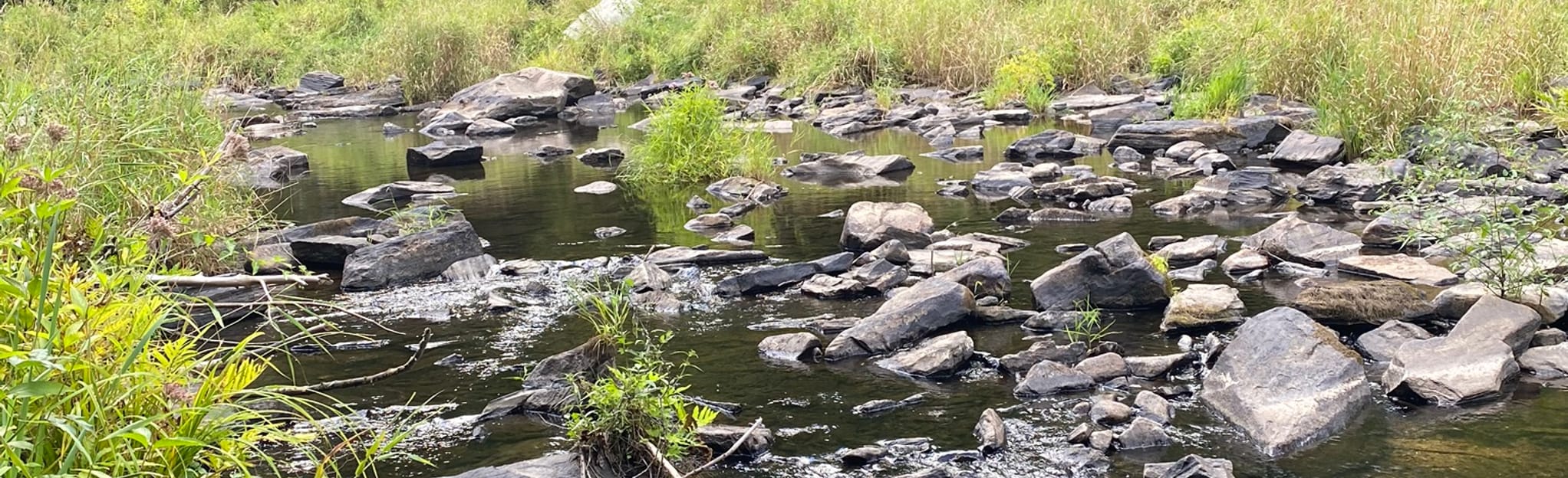 Stover Preserve Trail, Maine - 72 Reviews, Map | AllTrails