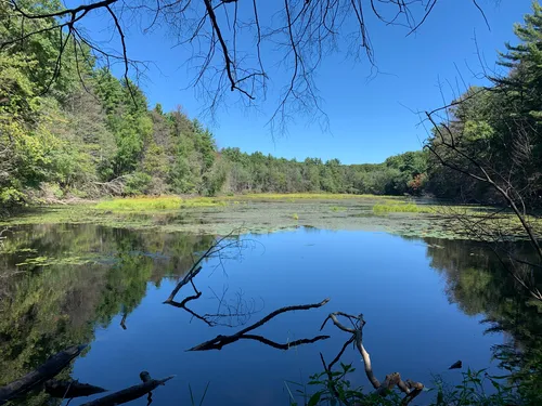 10 Best Hikes and Trails in Callahan State Park | AllTrails