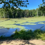 Rockingham Recreational Rail Trail, New Hampshire - 249 Reviews, Map ...