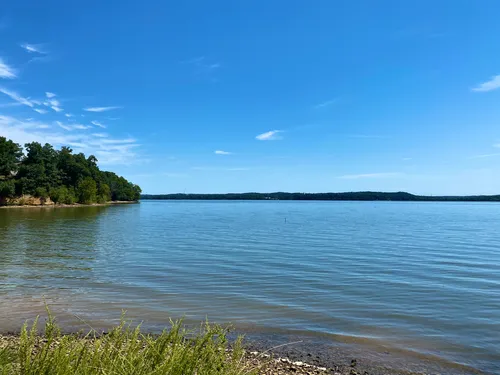 Best Wild Flowers Trails in Eva | AllTrails