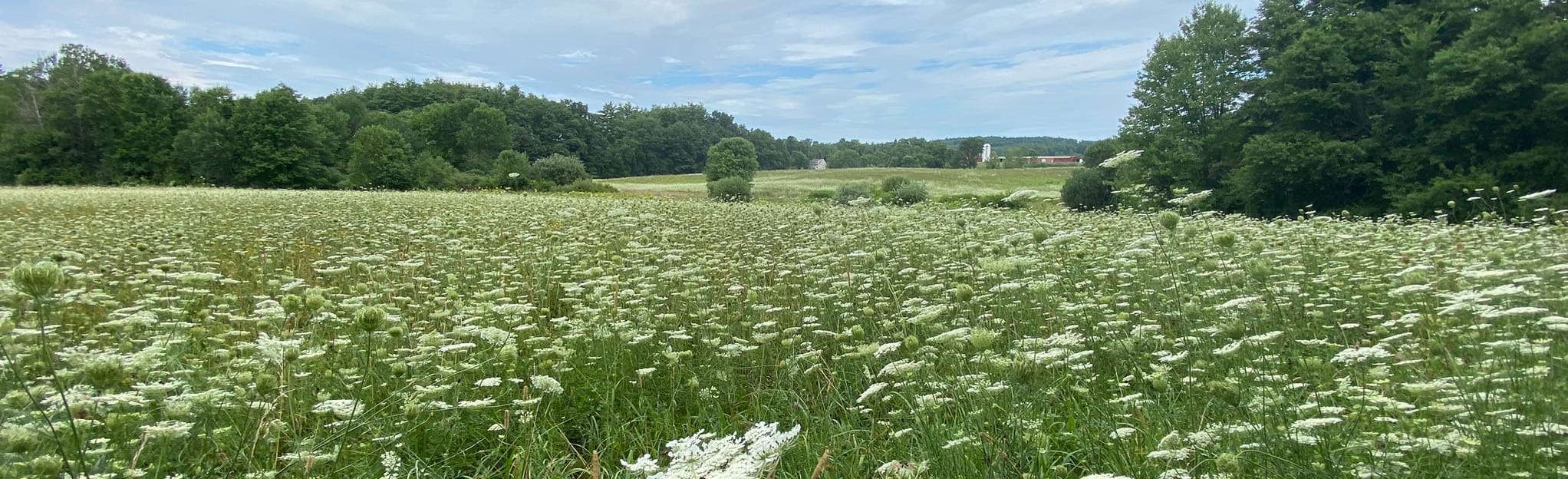 Battis Farm Trail, Massachusetts - 86 Reviews, Map | AllTrails