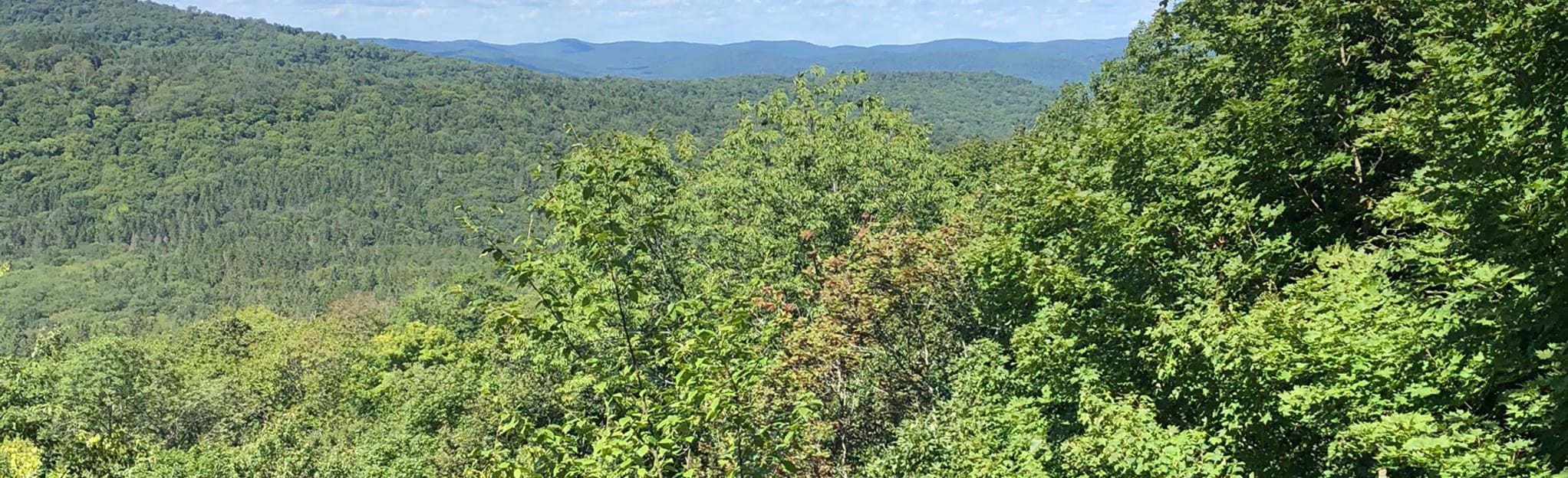 Brock Mountain via Finger Lake Trail, New York - 12 Reviews, Map ...