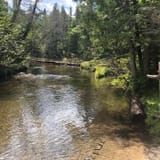 Luzerne Boardwalk, Michigan - 83 Reviews, Map | AllTrails