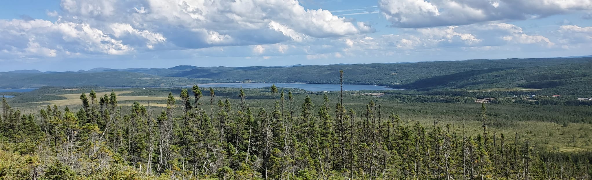 Alexander Murray Hiking Trail, Newfoundland and Labrador, Canada - 196 ...
