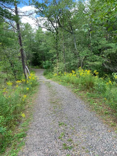 10 Best Trails and Hikes in Gravenhurst | AllTrails