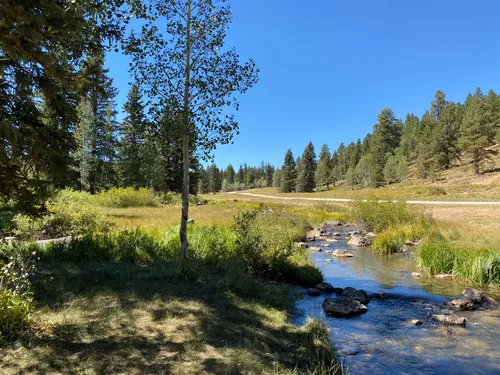 Best Hikes and Trails in Duck Creek Village | AllTrails