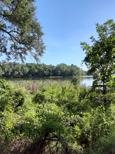Best Trail Running Trails in Conestee Nature Preserve | AllTrails