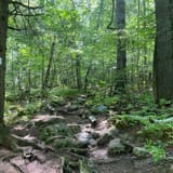 White Rocks Recreation Area Trail via Long Trail (Appalachian Trail ...