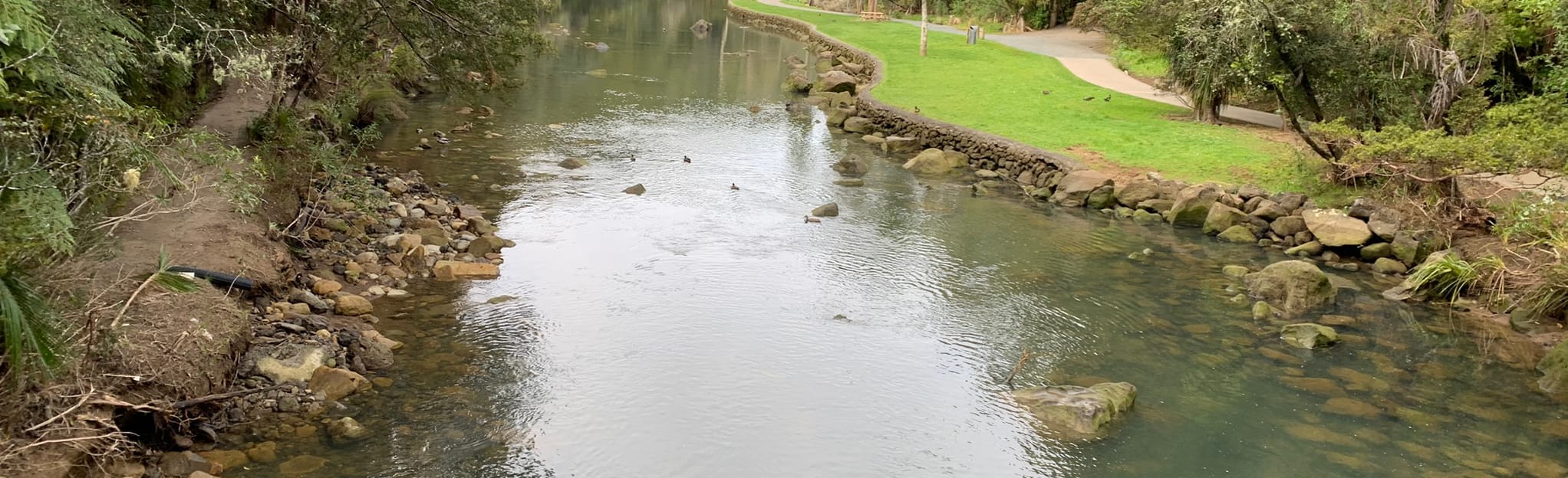 Hatea River Walk, Northland, New Zealand - 33 Reviews, Map | AllTrails